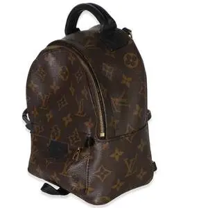 LOUIS VUITTON Monogram Canvas Palm Springs Backpack