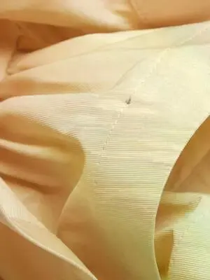 Elisabetta Franchi Ruffle Cropped Top