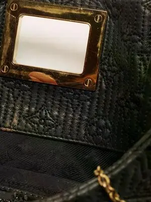 LOUIS VUITTON 2011 Limited Edition Altair Clutch Bag