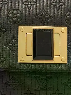 LOUIS VUITTON 2011 Limited Edition Altair Clutch Bag