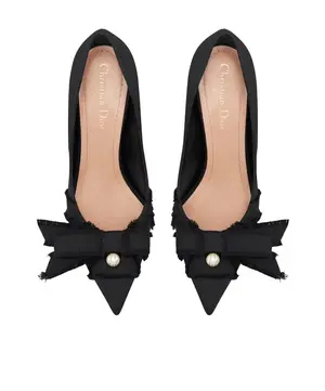 Dior Pointed High Heels