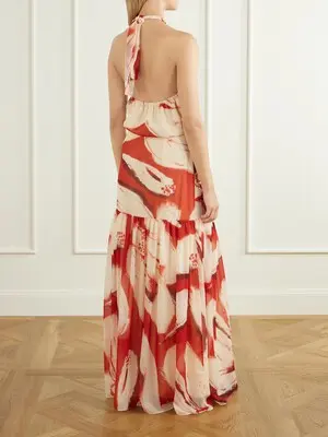 ANDRES OTALORA Un Martini Floral-print Chiffon Maxi Dress