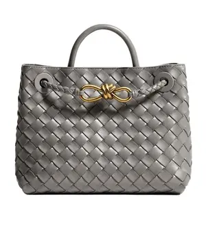 BOTTEGA VENETA Small Andiamo