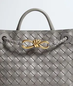 Bottega Veneta Small Andiamo