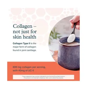 YOUTHEORY Joint Complex With Uc-ii Type 2 Collagen