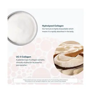 YOUTHEORY Joint Complex With Uc-ii Type 2 Collagen