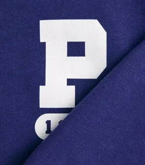 Polo Ralph Lauren Quarter-zip Sweatshirt