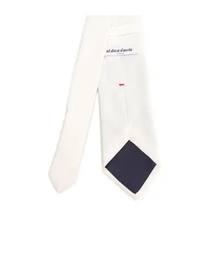 AL DUCA DAOSTA 1902 Pointed-tip Tie