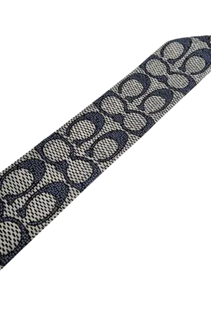 COACH Silk Scarf