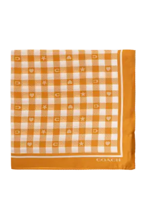 COACH Silk Scarf - Orange