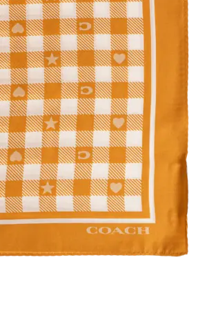COACH Silk Scarf - Orange