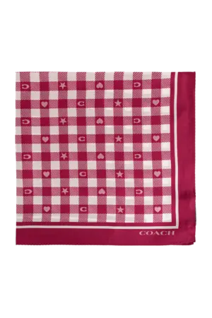 COACH Silk Scarf - Pink