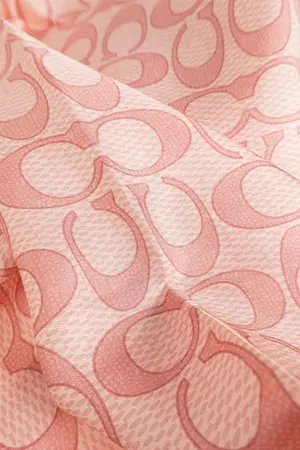 COACH Silk Scarf