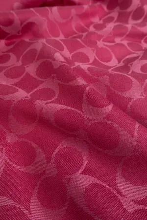 COACH Scarf With Monogram