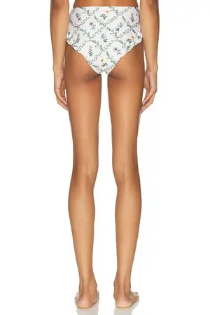 Agua Bendita Jengibre Bikini Bottom