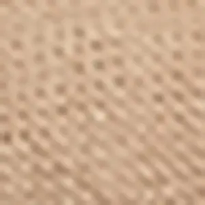Falke Pure Matt 20 Anklet Socks