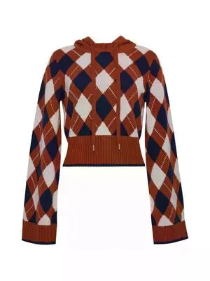 Cara Cara Oakley Argyle-knit Hoodie