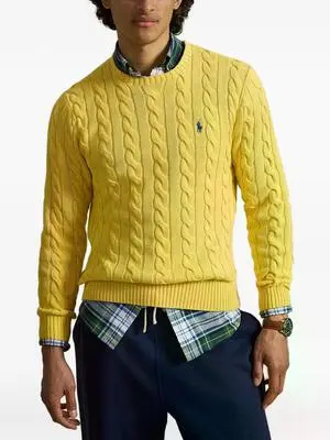 Polo Ralph Lauren Cable Knit Crewneck Sweater