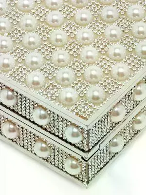 SOPHIA WEBSTER Clara Crystal Pearl Clutch Bag