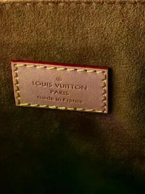 LOUIS VUITTON Dauphine Soft Monogram Canvas Gm Shoulder Bag