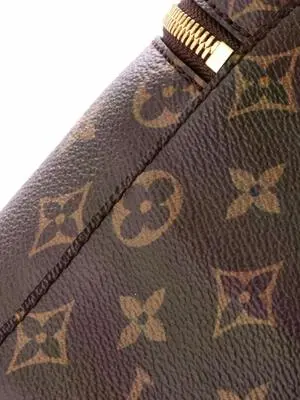 LOUIS VUITTON Reverse Monogram Canvas Vanity Pm Satchel - Brown