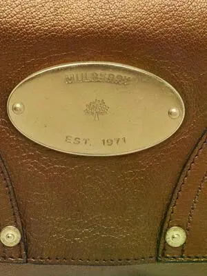 Mulberry Poppy Clutch Bag - Brown