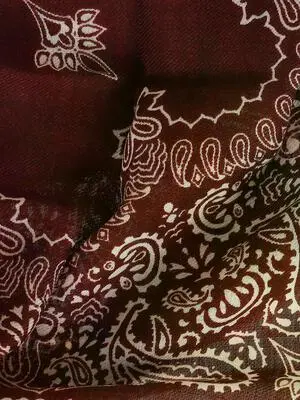 Destin Judy Paisley-print Scarf
