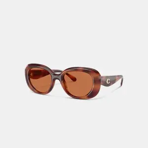 COACH OUTLET Coach C Hardware Round Sunglasses - Tortoise Brown