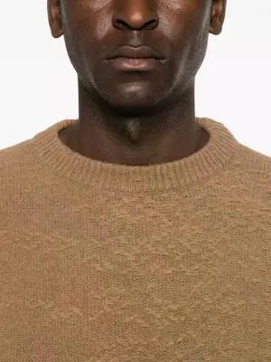 THE AMHANTE Distressed Textured Knit Sweater