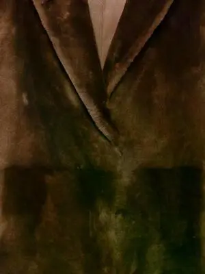 YVES SALOMON Button-fastening Coat