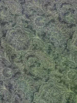 Kiton Paisley-print Frayed Scarf