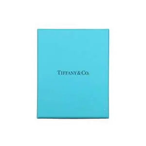 Tiffany & Co. Elsa Peretti Sterling Silver Bean Pendant Necklace