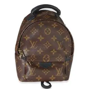LOUIS VUITTON Monogram Canvas Palm Springs - Brown