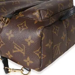 LOUIS VUITTON Monogram Canvas Palm Springs Backpack - Brown