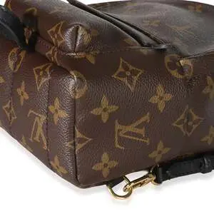 LOUIS VUITTON Monogram Canvas Palm Springs Backpack - Brown