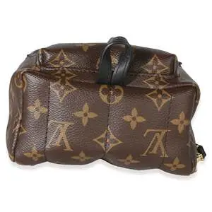 LOUIS VUITTON Monogram Canvas Palm Springs Backpack - Brown