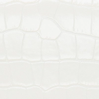 VICTORIA BECKHAM Wallet On Chain