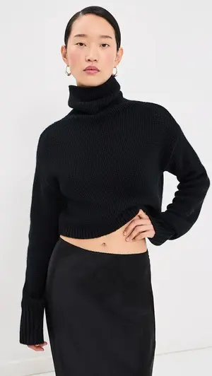 Sablyn Cropped Cashmere Turtleneck Sweater - Black