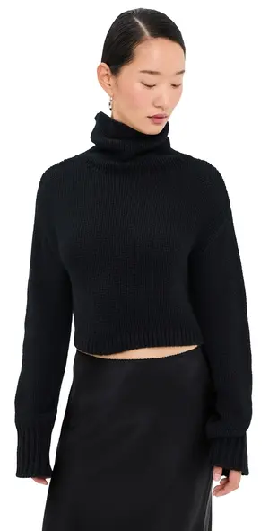 Sablyn Cropped Cashmere Turtleneck Sweater - Black