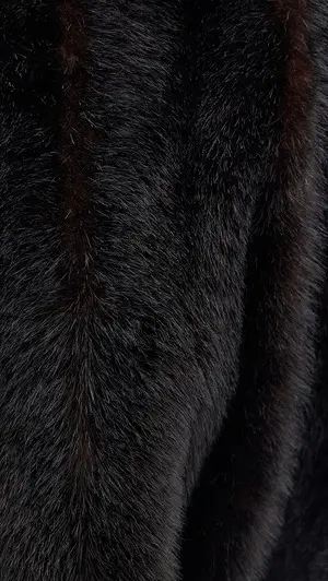 Velvet By Graham & Spencer Marmont Faux Fur Jacket