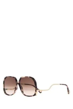 Chloé Acetate Sunglasses