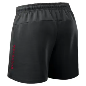 Nike Ohio State Performance Dri-fit Shorts