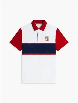 Tommy Hilfiger Regular Fit Crest Logo Colorblock Polo