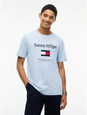 Tommy Hilfiger Embroidered T-shirts For Men