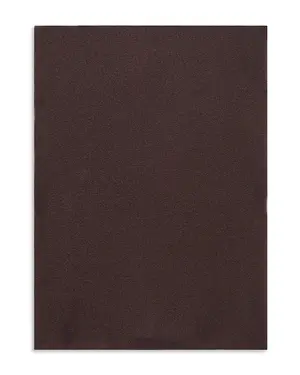 Gerard Darel Stee Cashmere Scarf - Brown