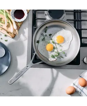 DEMEYERE Industry 5 Nanotouch Stainless Steel Fry Pan, 9.5