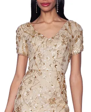 Shani V-neck Embroidered Gown