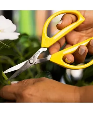 JOYCE CHEN Original Unlimited Kitchen Scissors, 3.25 L X 0.4 W X 6.3 H - Yellow