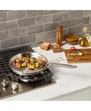 ZWILLING Motion Stainless Steel Fry Pan, 10