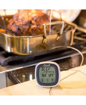 ESCALI Touch Screen Thermometer And Timer, 3 L X 3 W X 1 H